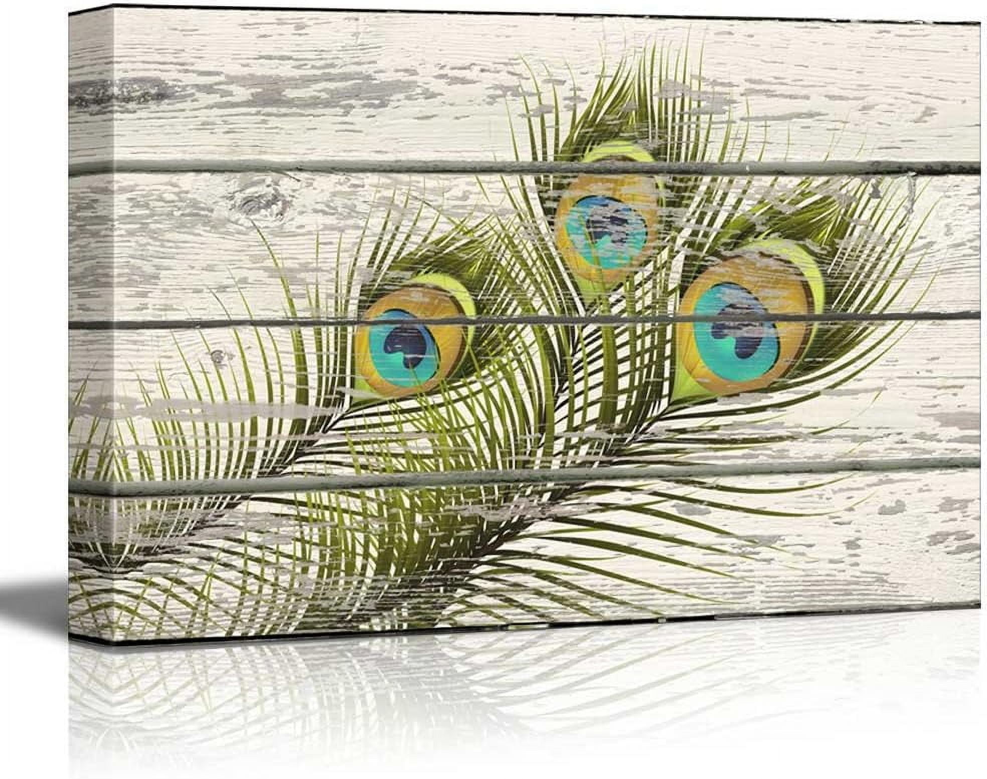 AEFER Colorful Peacock Feathers Artwork - Rustic Canvas Wall Art Home ...