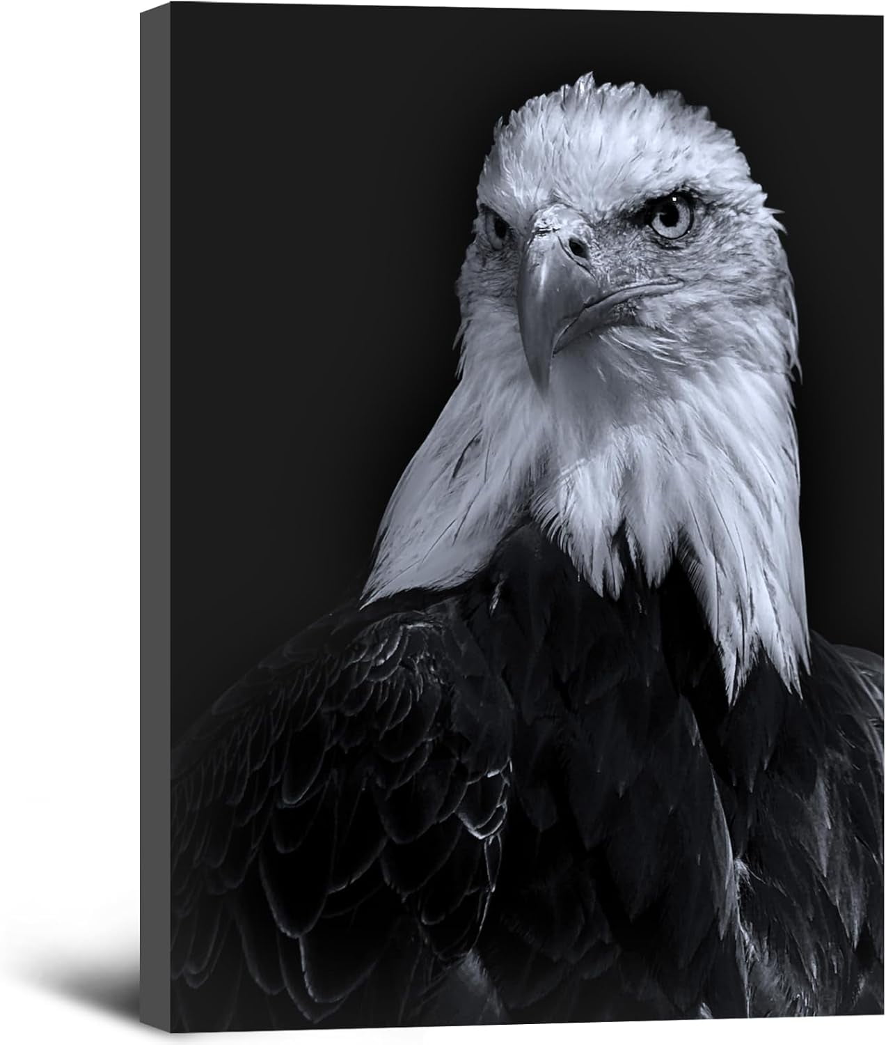 AEFER Cool Eagle Wall Art Decor for Bedroom Black and White Bald Eagle ...