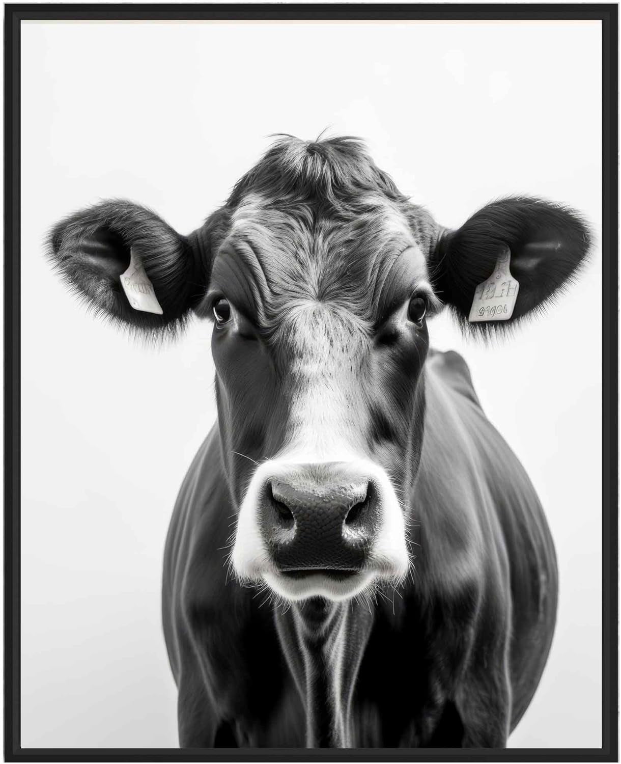 AEFER Cow Animal Art Prints Posters, Black and White Photography Wall ...