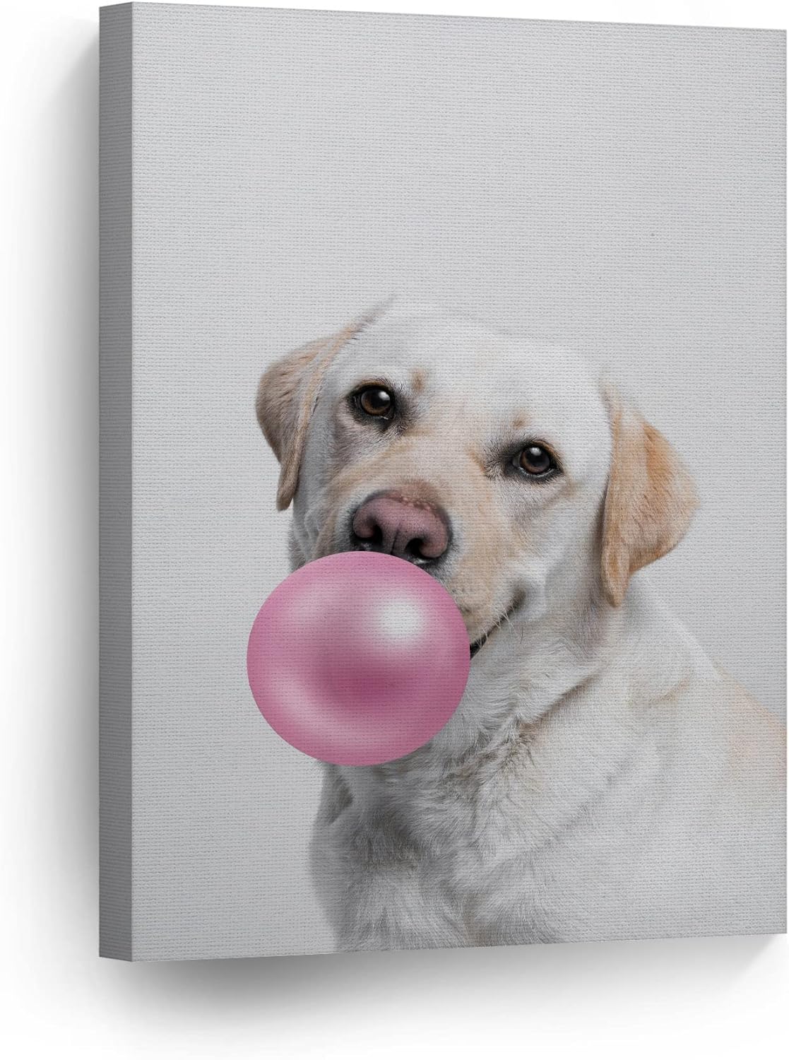 AEFER Cute Labrador Retriever Dog Animal Bubble Gum Art Pink Canvas ...