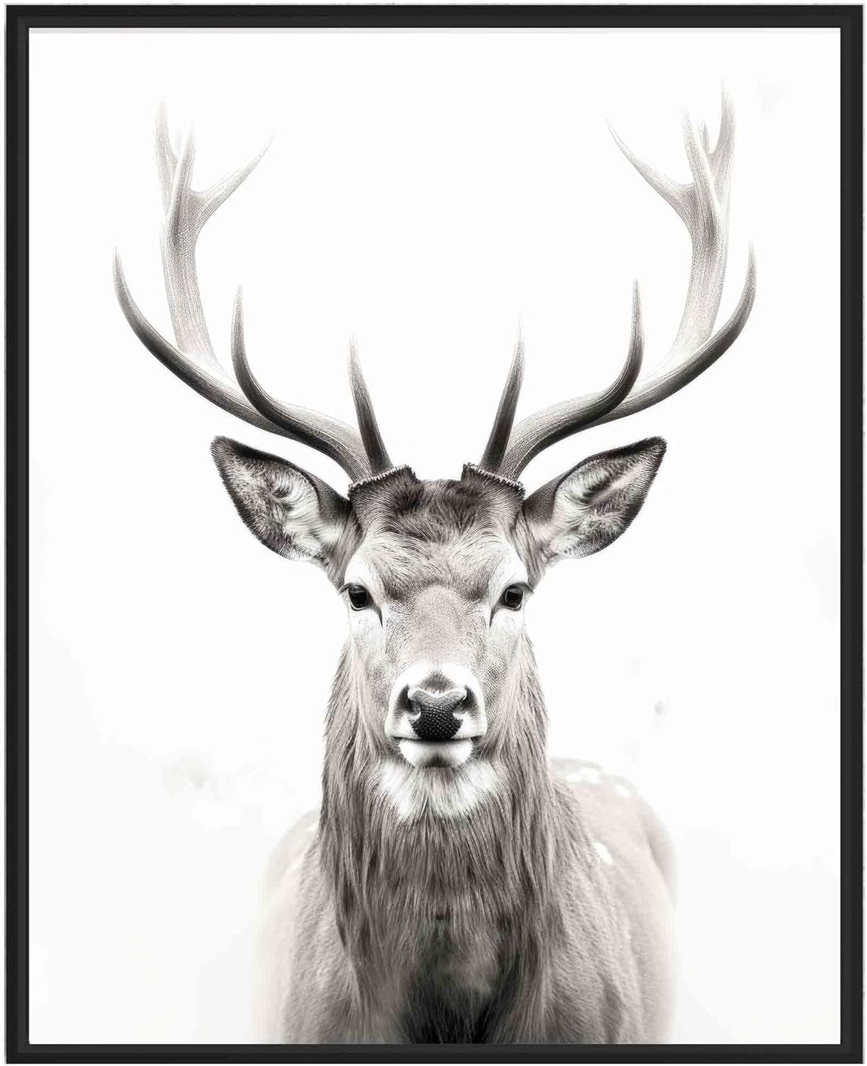 AEFER Deer Art Prints Posters, Black and White Photography Wall Art ...