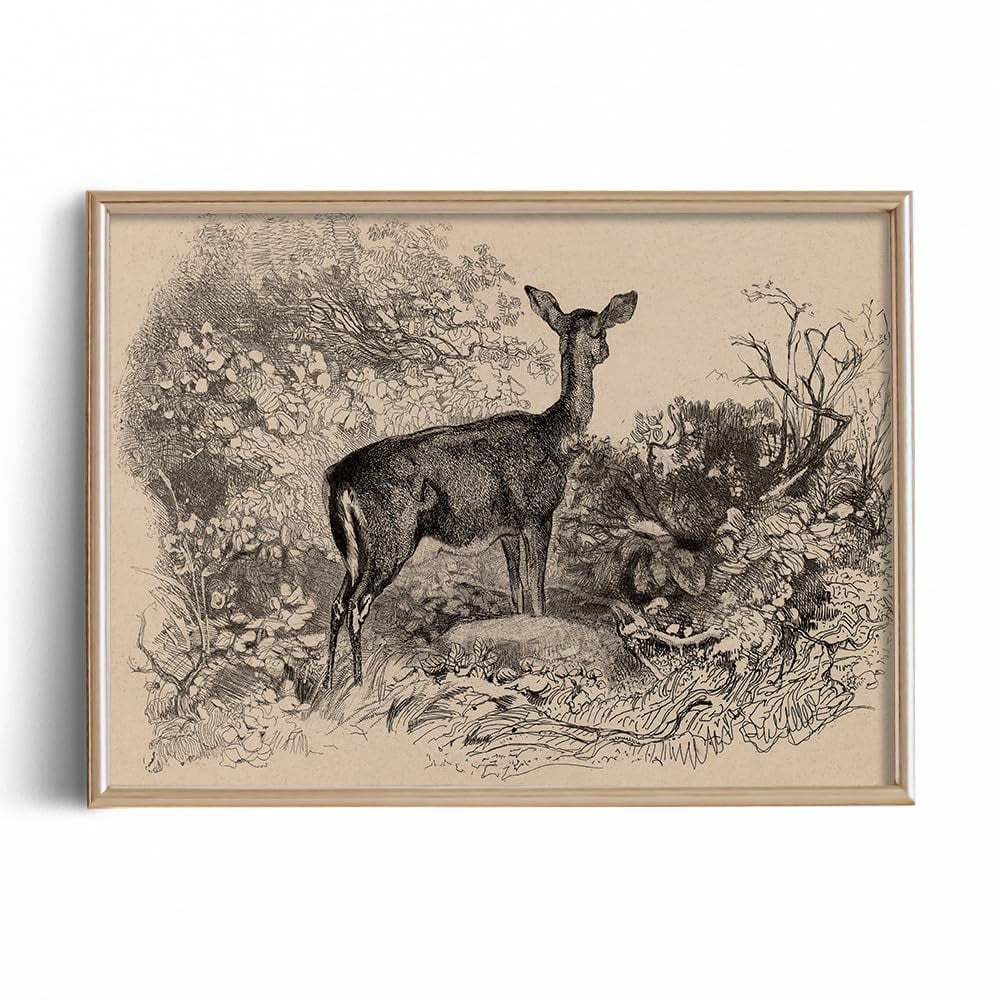 AEFER Deer in the Forest Trees Drawing Etching Rustic Gray Picture ...