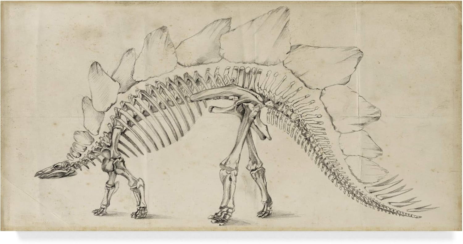 AEFER Dinosaur Study Iii by Ethan Harper Unframe: 18x12inch(45x30cm ...
