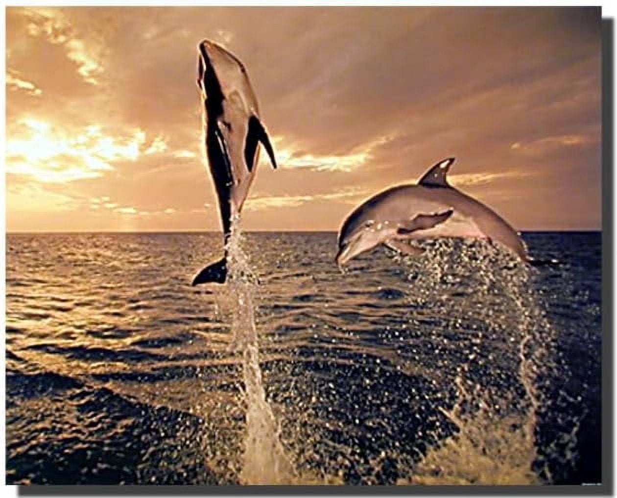 AEFER Dolphin Wall Decor Freedom Dance Ocean Animal Art Print Poster ...