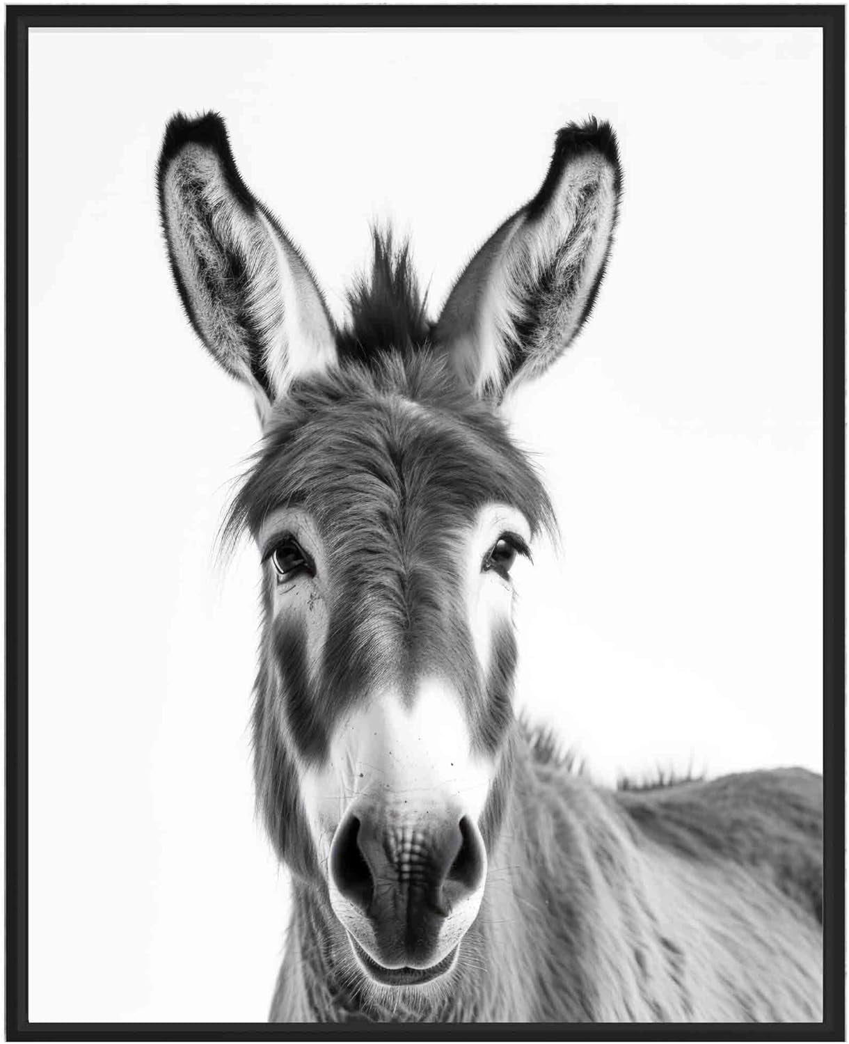 AEFER Donkey Animal Art Prints Posters, Black and White Photography ...