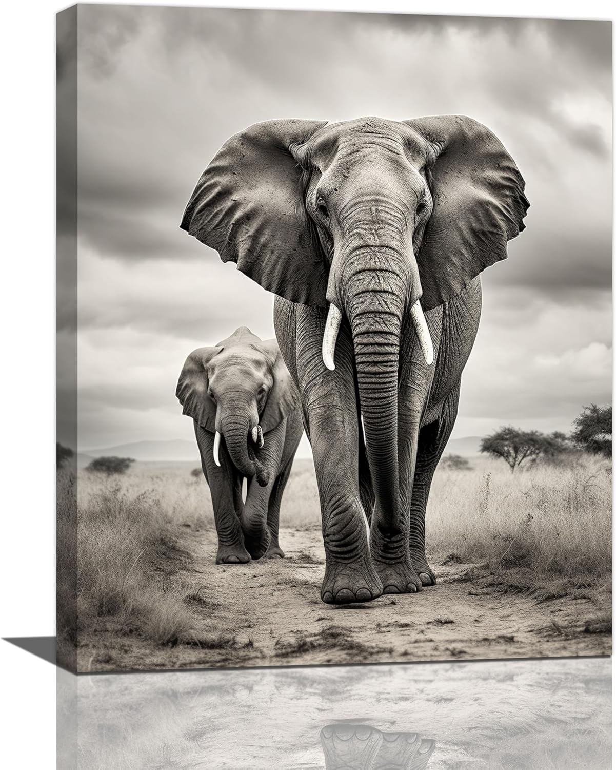 AEFER Elephant Decor Wall Art elephants Pictures Wall Decor Canvas ...