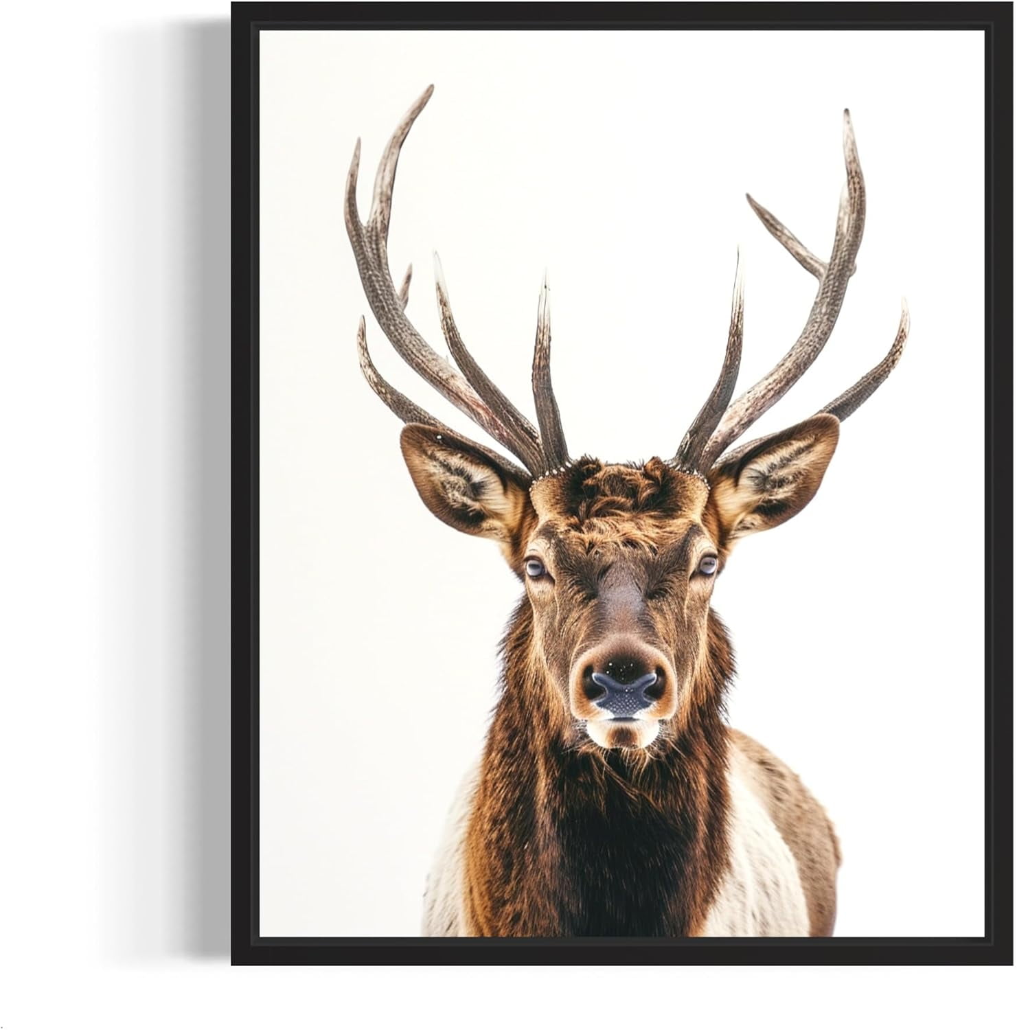 AEFER Elk Poster Art Print, Animal Portrait Wall Art Nature Decor ...