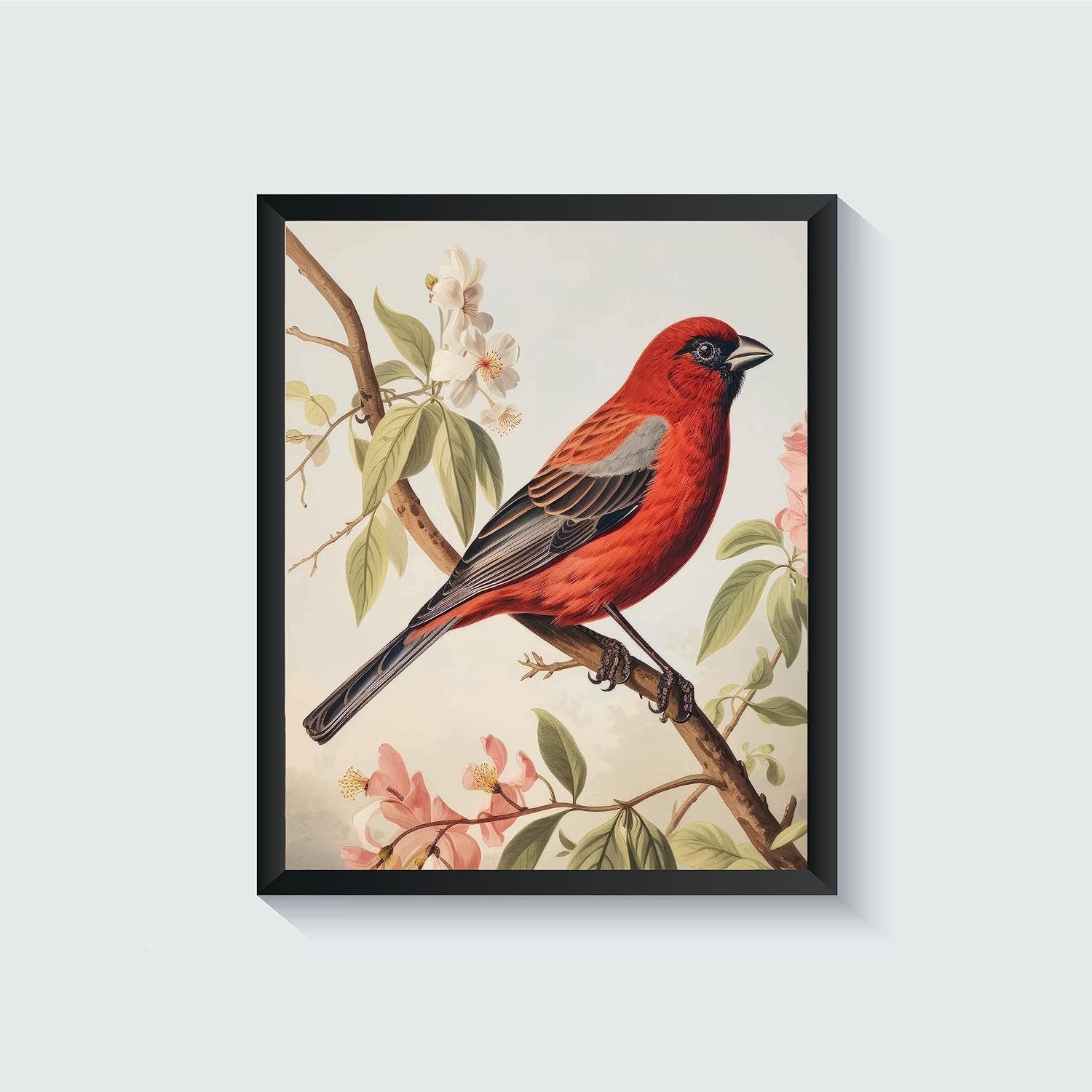 AEFER Finch Poster Art Print Retro Vintage Bird Wall Art Poster Decor ...