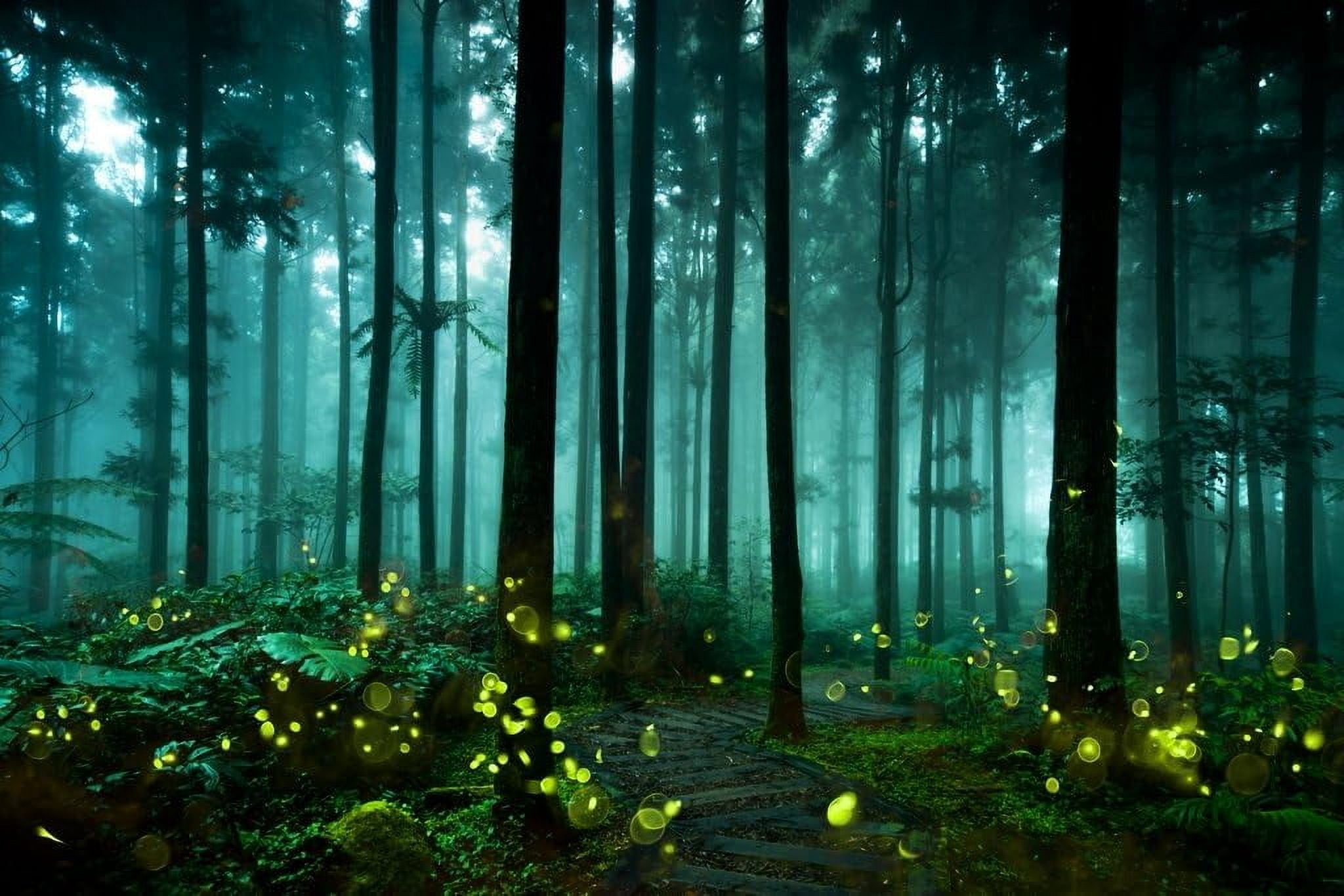 AEFER Fireflies Poster Night Forest Aesthetic Summer Night Landscape ...
