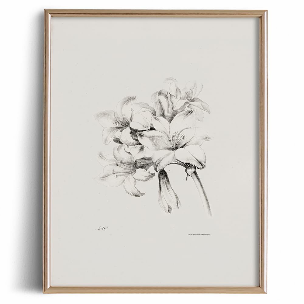 AEFER Floral Flower Drawing Print Poster - Plant Leave Botanical ...