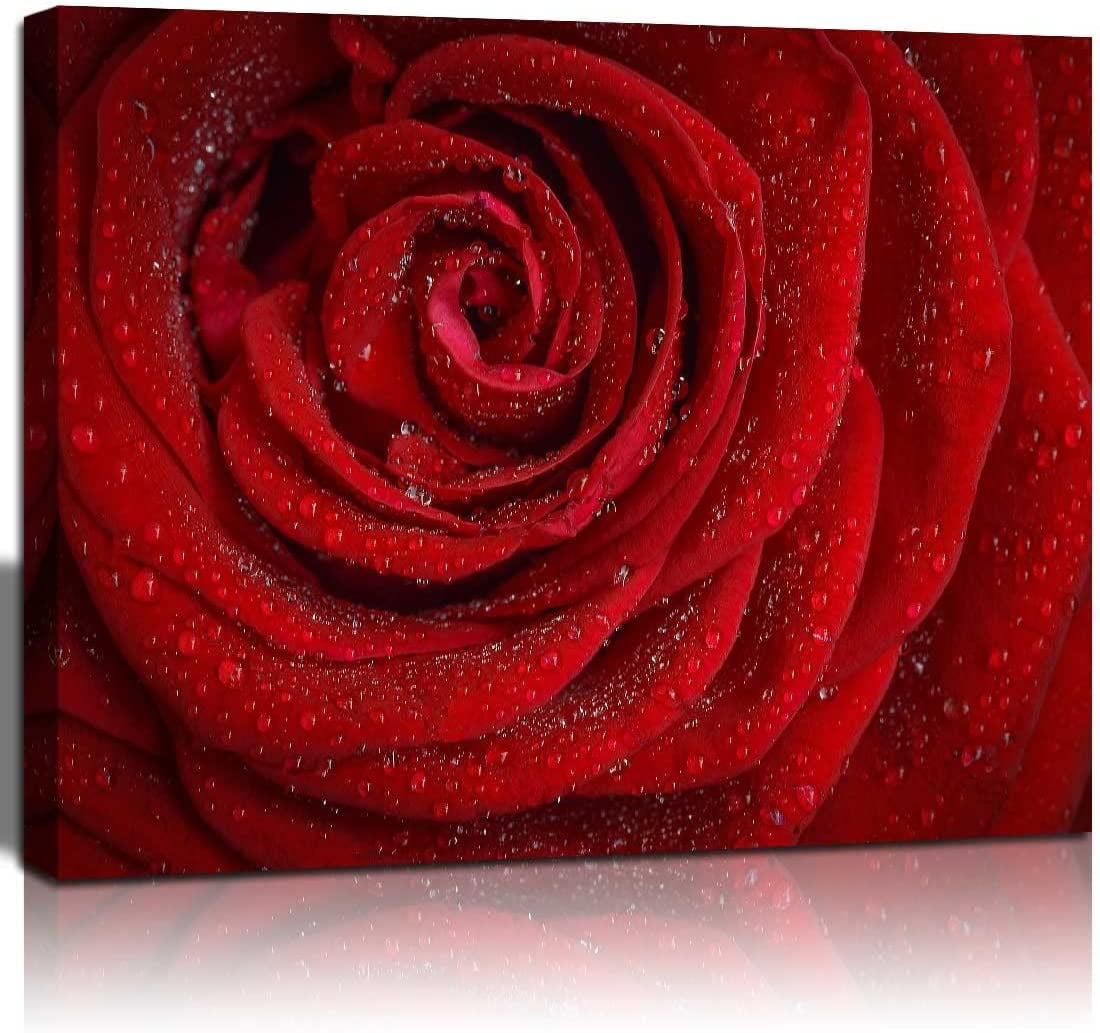 AEFER Flower Canvas Wall Art Dew on the Red Rose Pictures for Girls ...