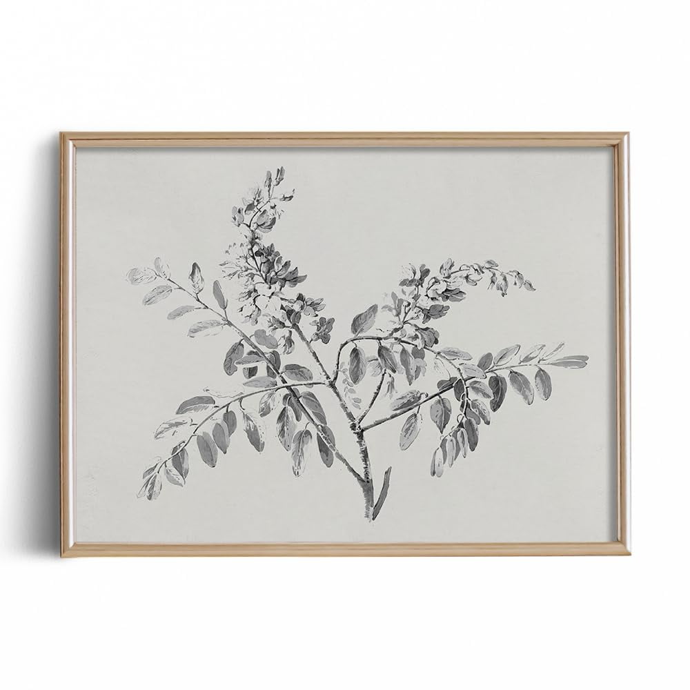 AEFER Flower Floral Drawing Print Poster - Botanical Plant Leave ...