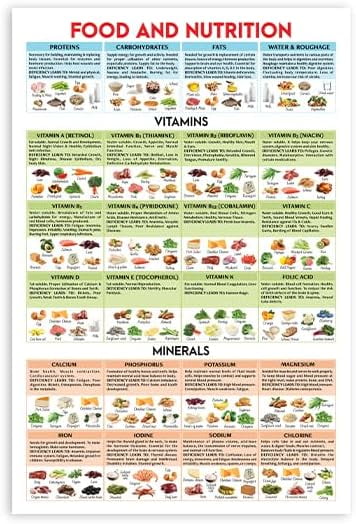 AEFER Food and Nutrition Poster Vitamin and Mineral Guide Poster ...