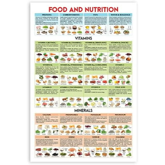 AEFER Food and Nutrition Poster Vitamin and Mineral Guide Poster ...