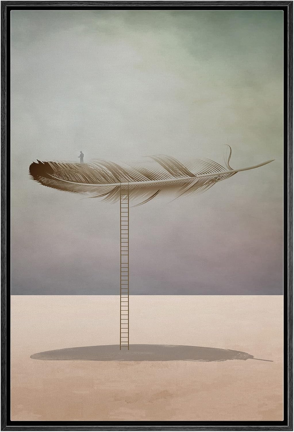 AEFER Framed Canvas Print Wall Art Surreal Floating Bird Feather ...