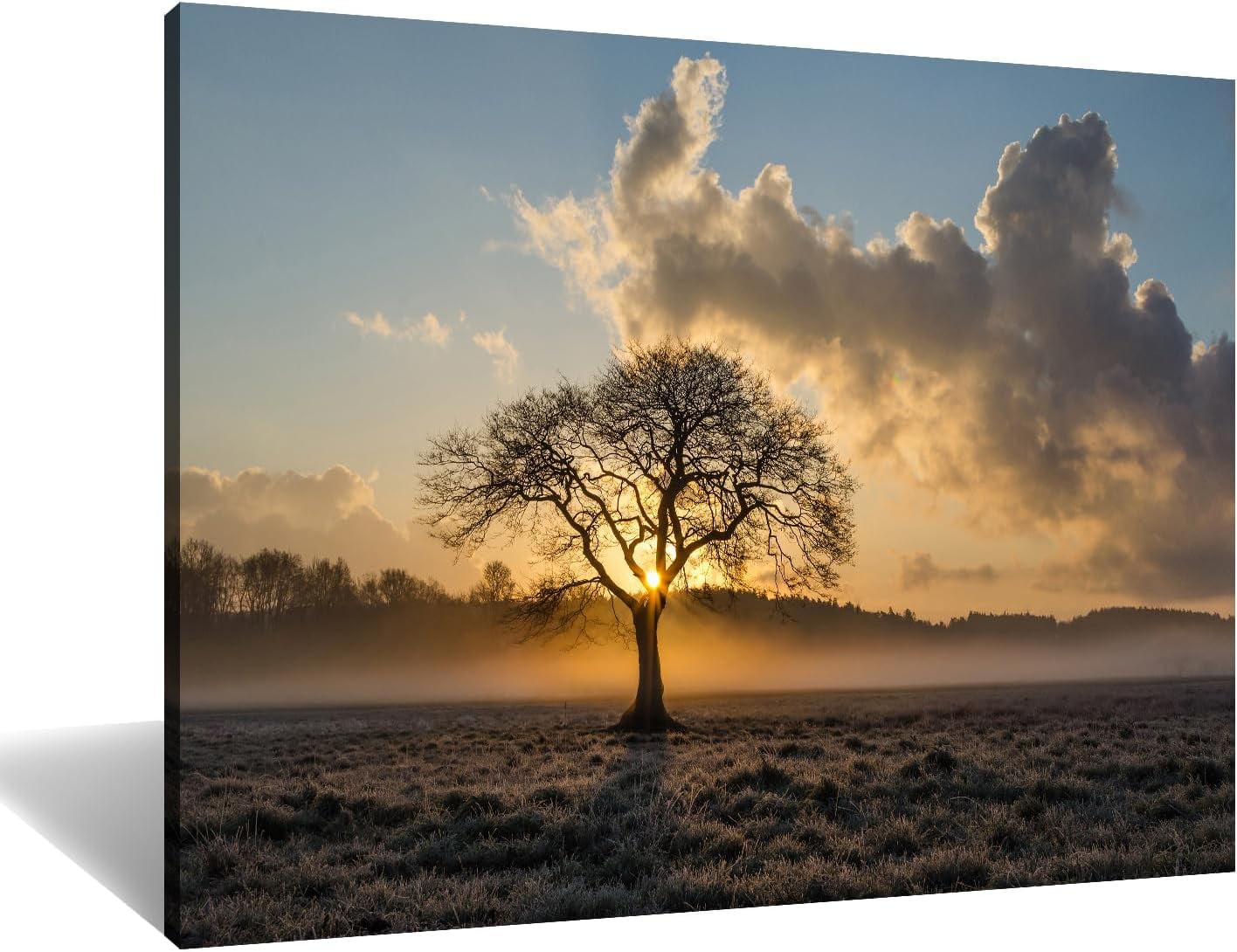 AEFER Framed Forest Wall Art Nature Trees Wall Decor Bedroom Trees ...