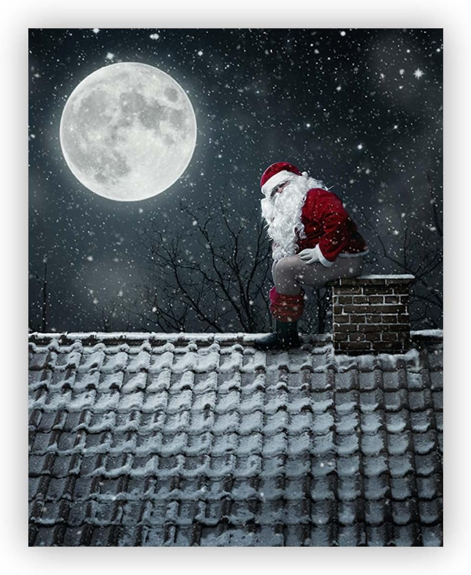 AEFER Funny Bathroom Wall Art Black and White Christmas Decor Santa ...