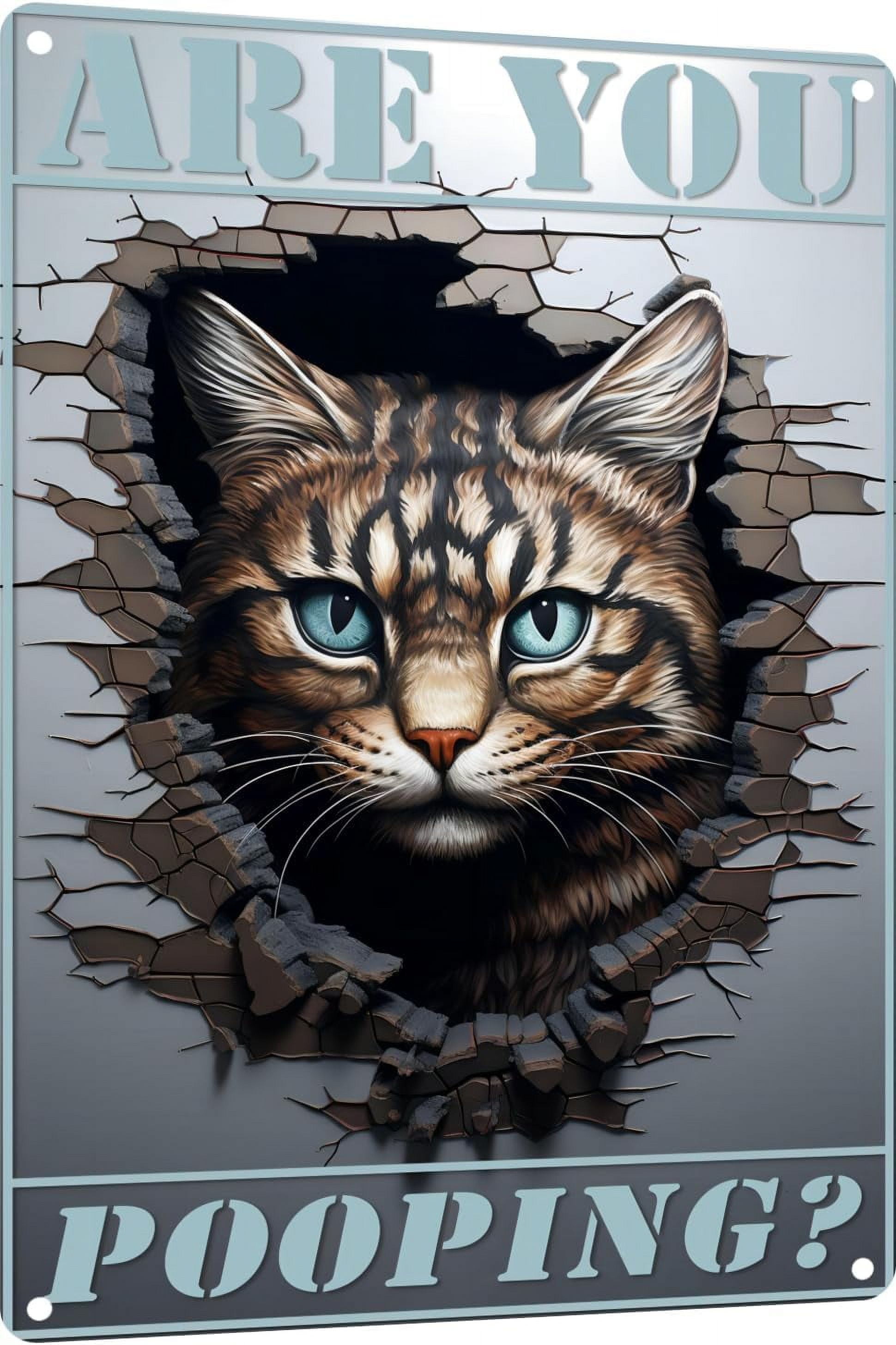 AEFER Funny Metal Sign Cat 3D Are you Pooping Vintage Wall Art ...