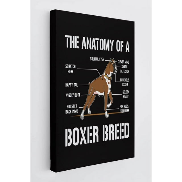 AEFER Funny The Anatomy Of A Boxer Breed Wall Art Canvas Farmhouse ...