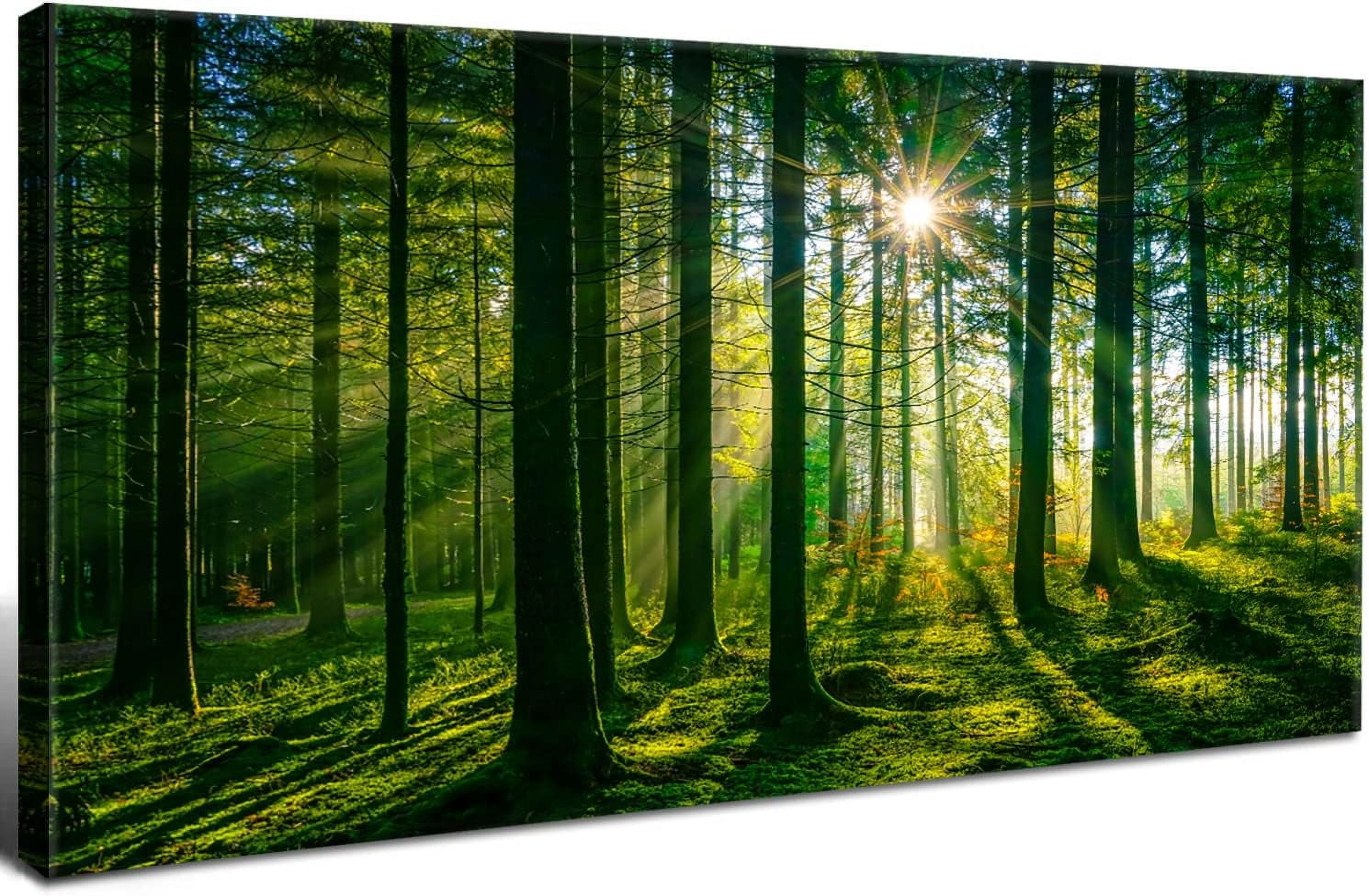 AEFER Green Forest Canvas Wall Art Sunshine Forest Pictures Wall Decor ...
