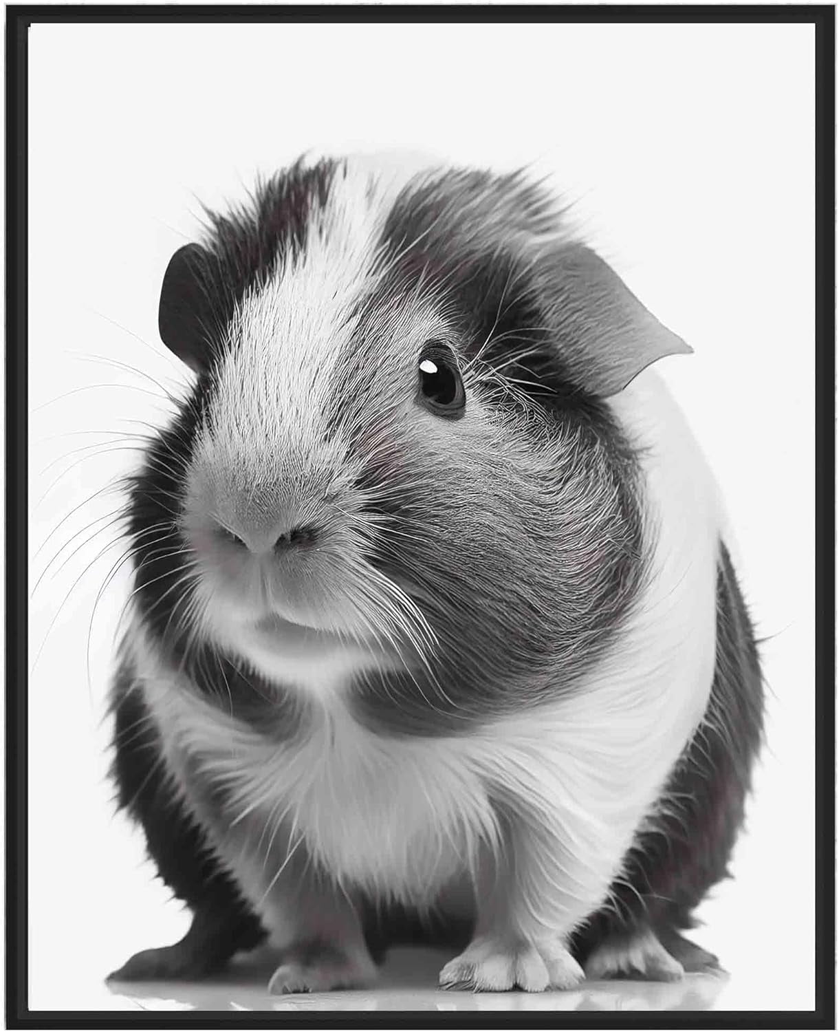 AEFER Guinea Pig Art Prints Posters, Black and White Photography Wall ...
