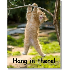 Hang There Cat Poster