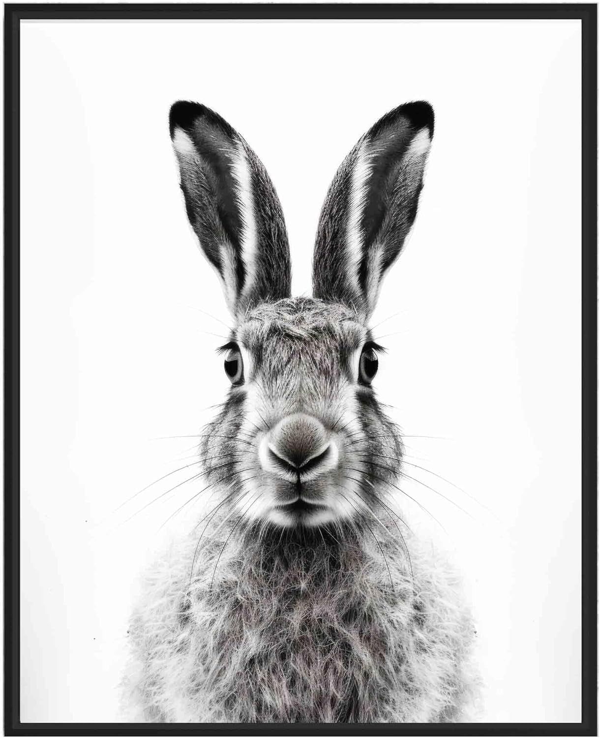 AEFER Hare Art Prints Posters, Black and White Photography Wall Art ...