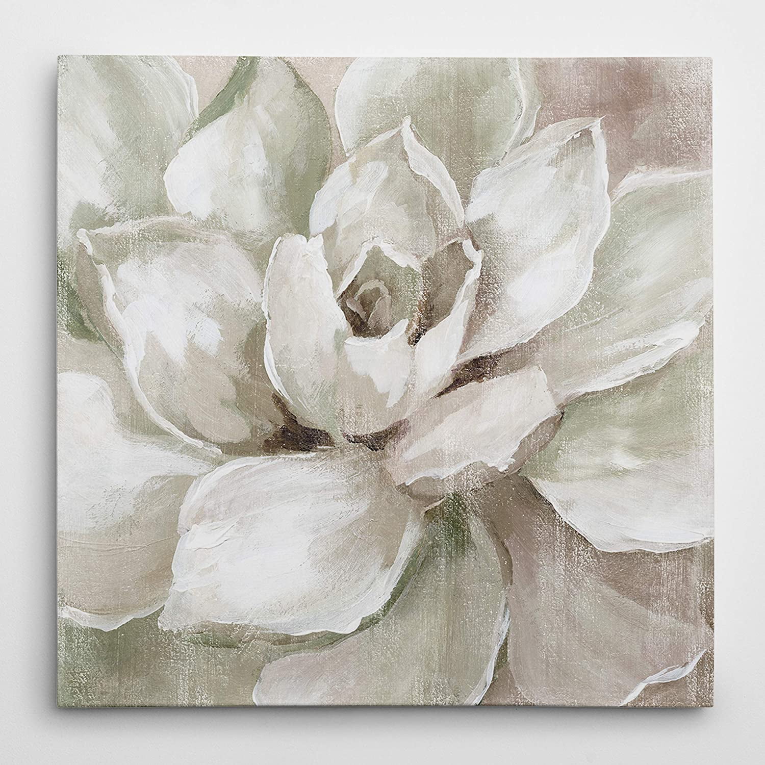 AEFER Hazy Summer Succulent-Canvas Prints Wrapped Gallery Wall Art ...