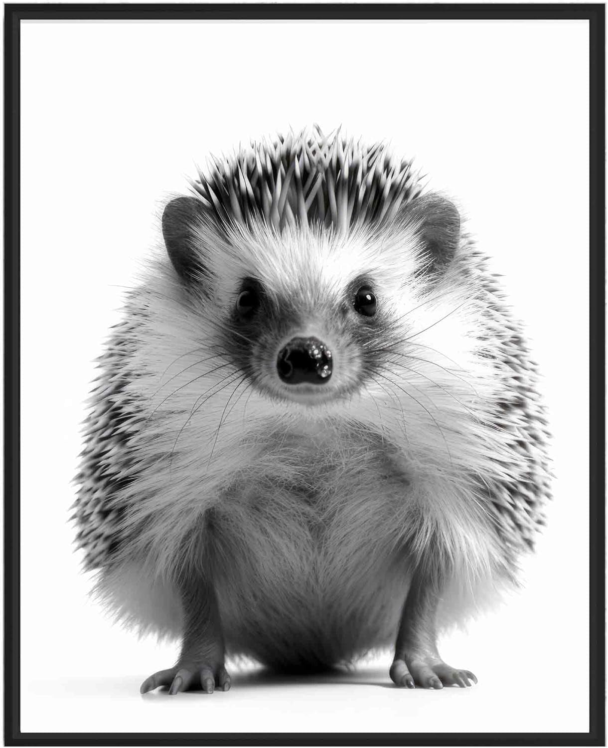 AEFER Hedgehog Art Prints Posters, Black and White Photography Wall Art ...