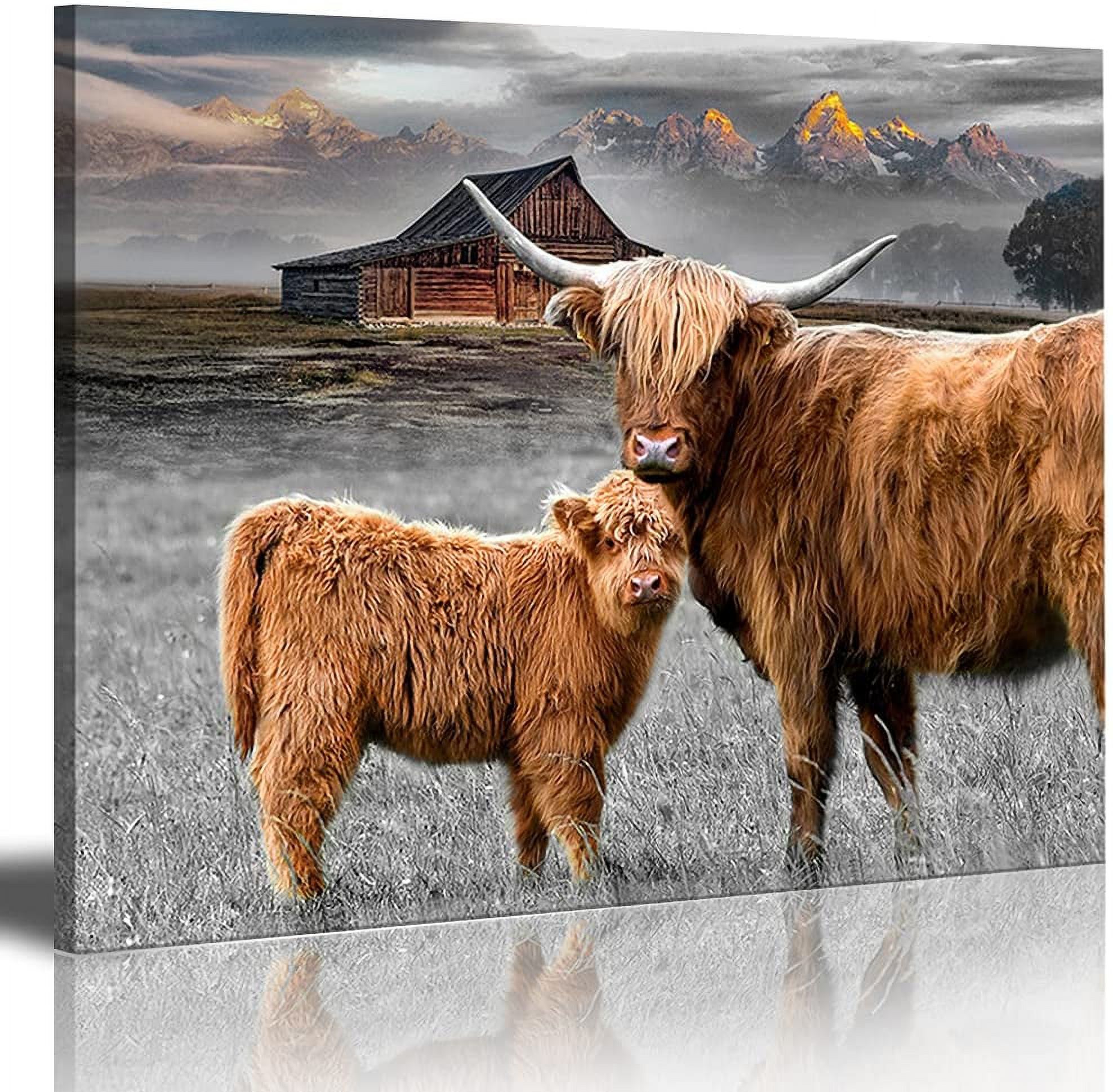 AEFER Highland Cattle Wall Art with Long Horns Picture – Highland Cow ...