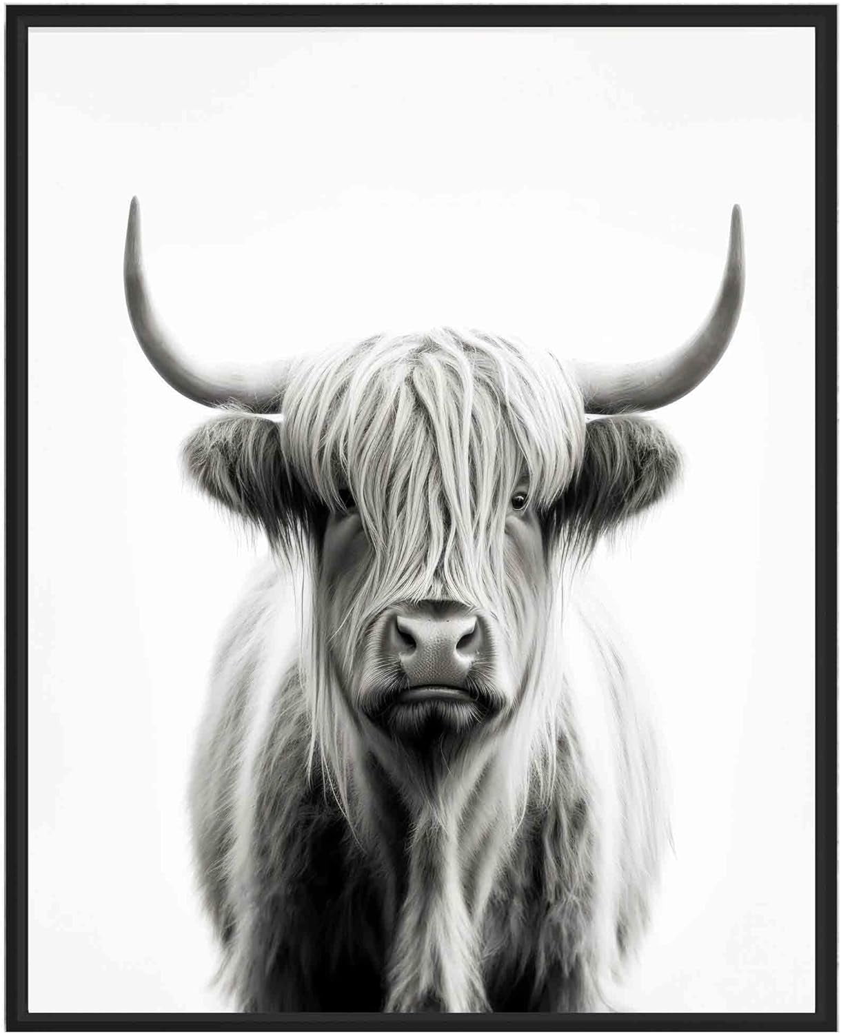 AEFER Highland Cow Art Prints Posters, Black and White Photography Wall ...
