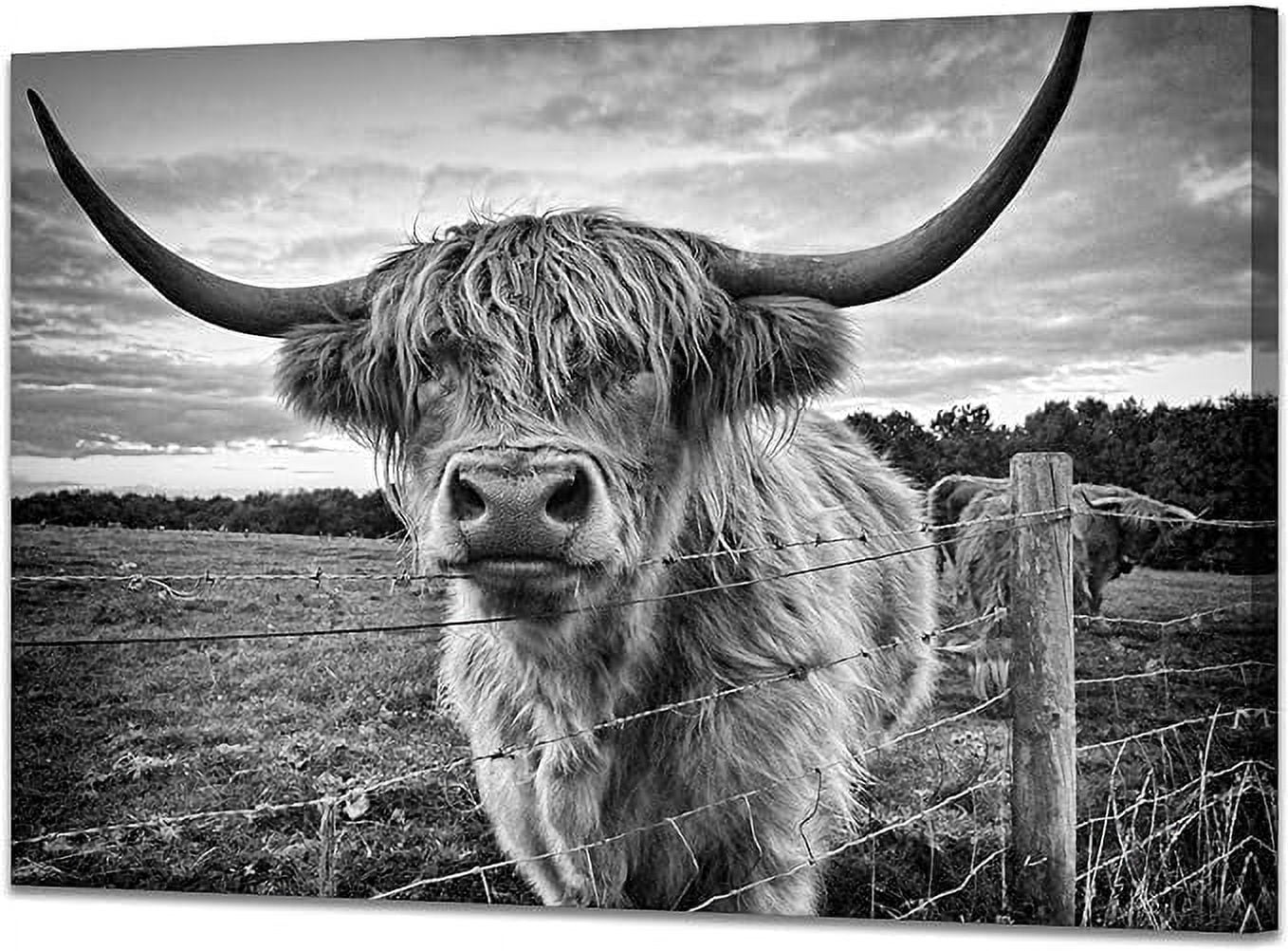 AEFER Highland Cow Canvas Wall Art Black and White Cow Photos for Wall ...