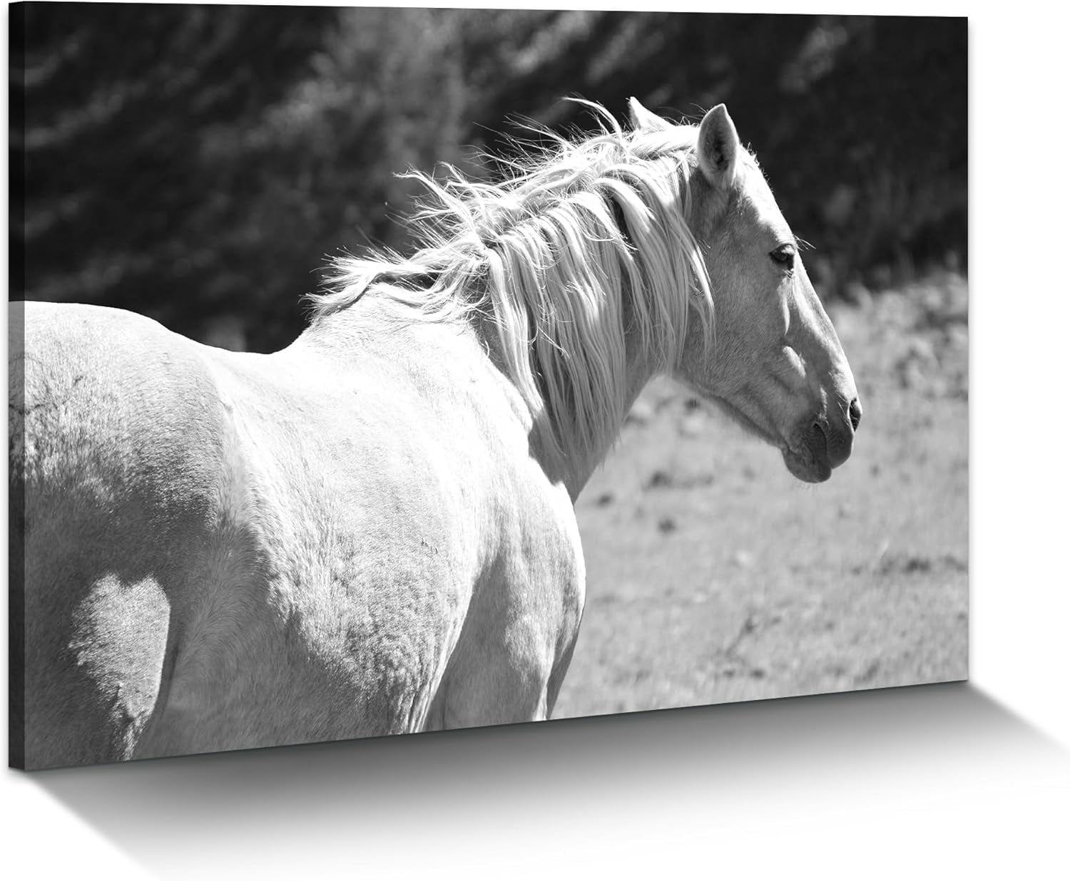 AEFER Horse Portrait Canvas Wall Art: Black and White Sturdy Steed ...