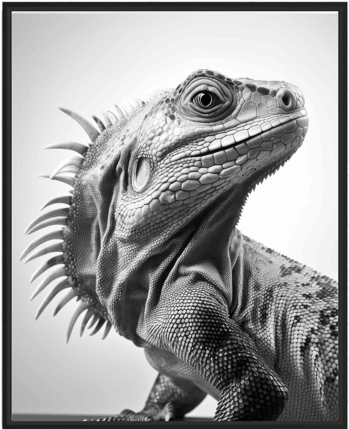 AEFER Iguana Art Prints Posters, Black and White Photography Wall Art ...