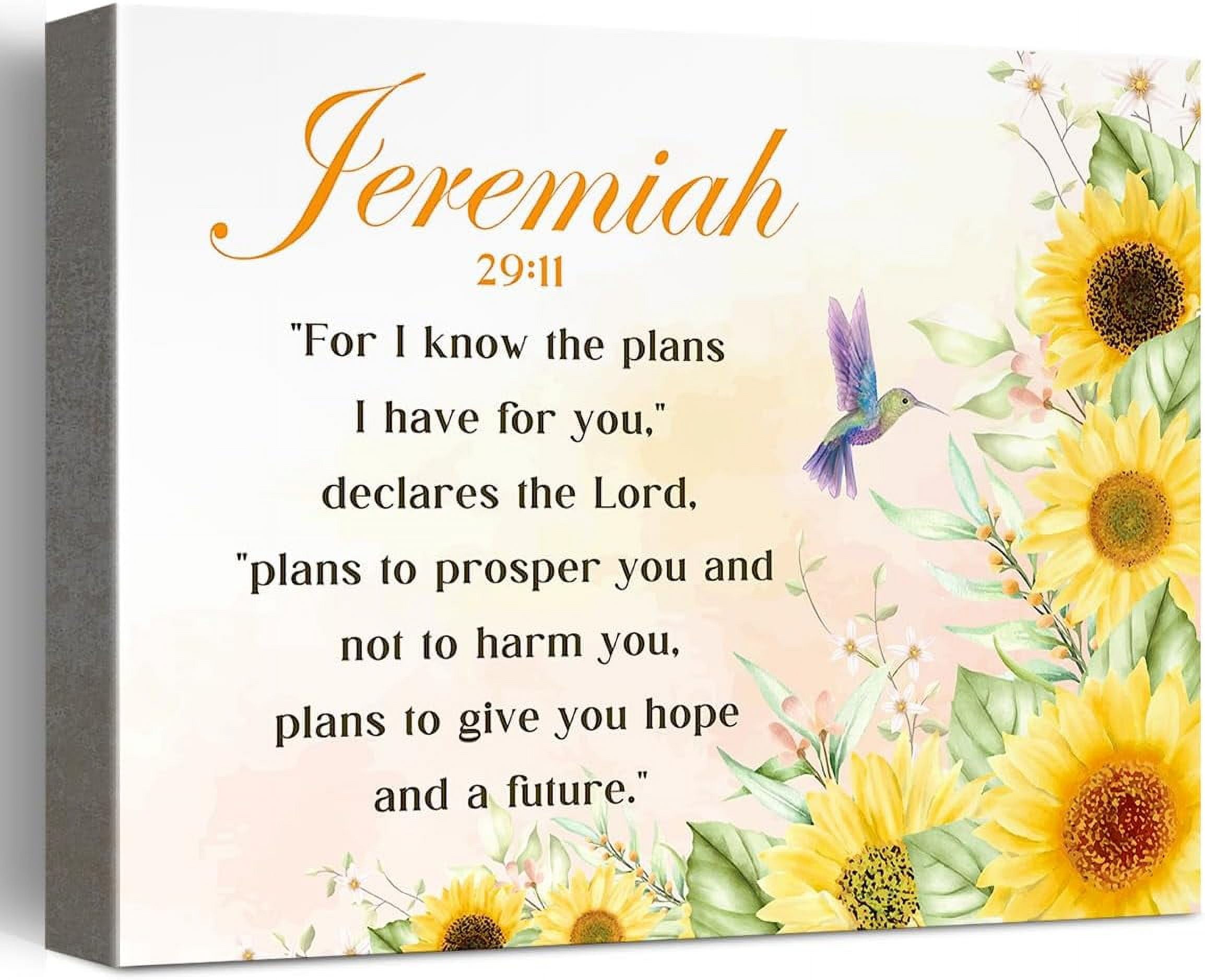 AEFER Inspirational Christian Wall Decor,For I Know the Plans I Have ...