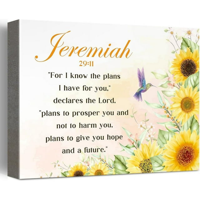 AEFER Inspirational Christian Wall Decor,For I Know the Plans I Have ...