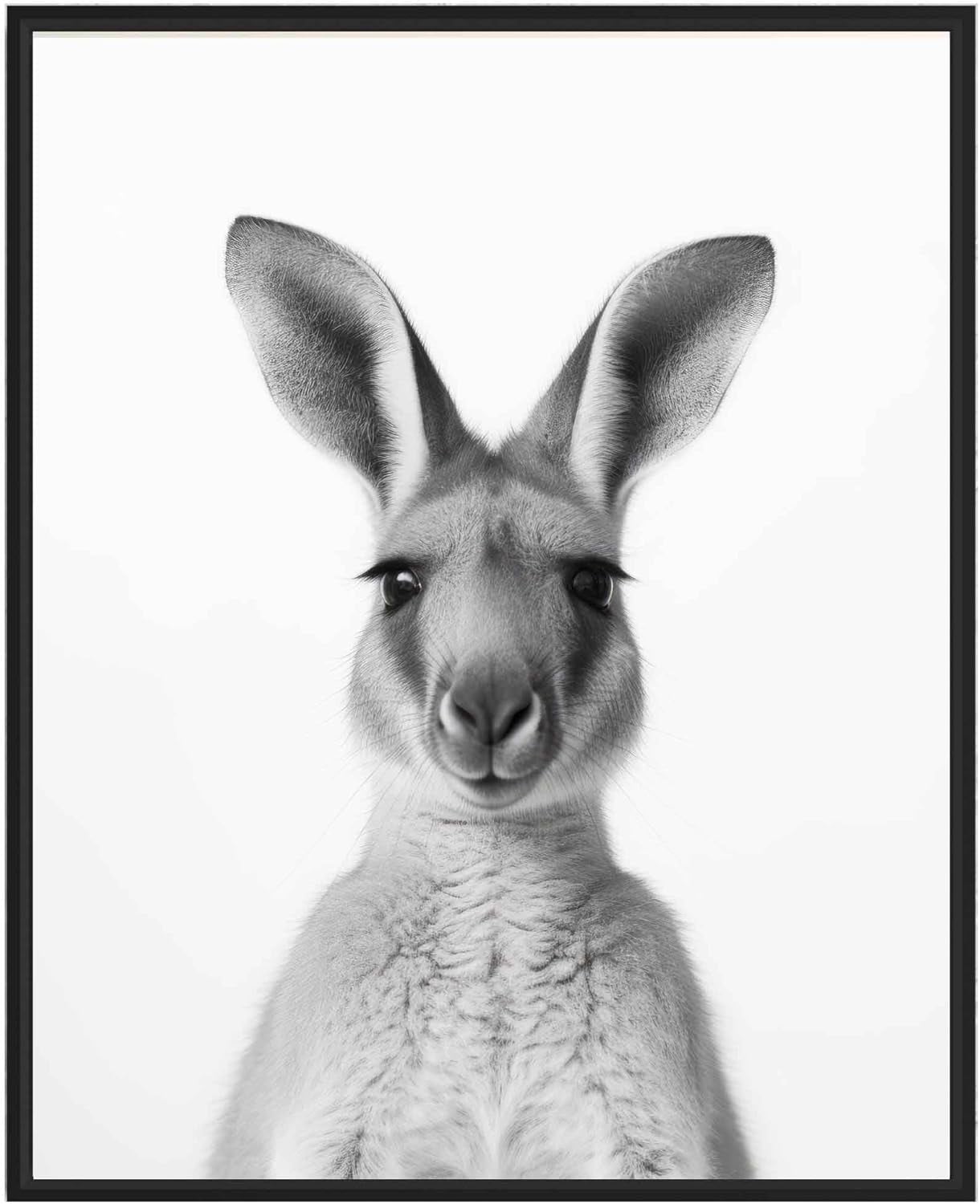AEFER Kangaroo Art Prints Posters, Black and White Photography Wall Art ...