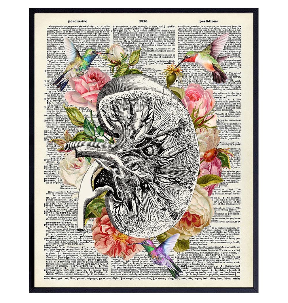 AEFER Kidney Wall Art Print -Rustic Vintage Decoration, Home Decor for ...