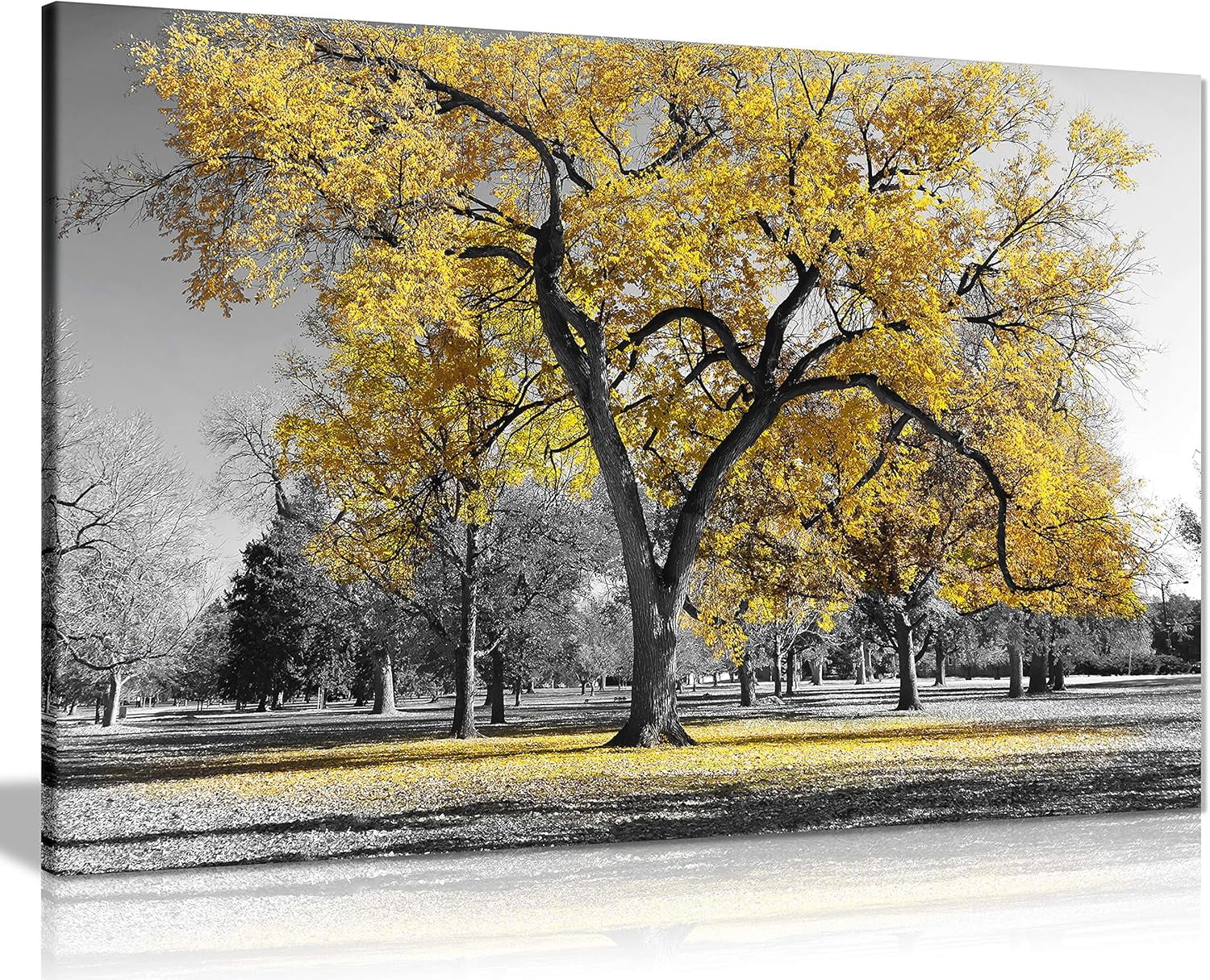 AEFER , Large Canvas Wall Art, Beautiful Living Room and Bedroom ...