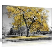 Large Picture Live Room