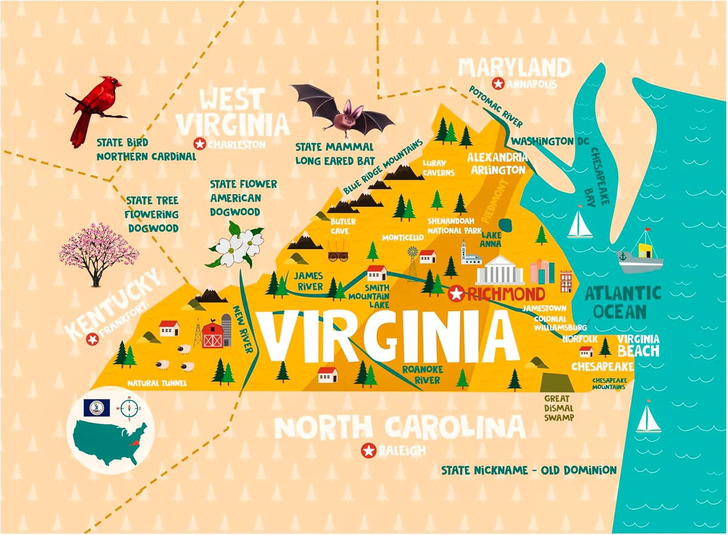 AEFER Learning Tapestry-Virginia State Map-Lightweight & Easy to Hang ...