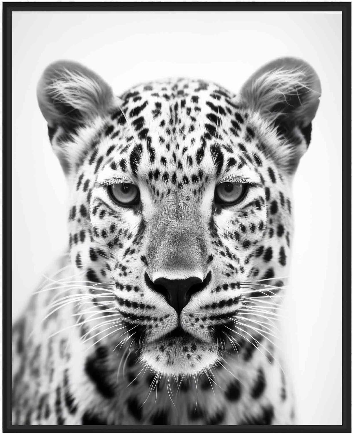 AEFER Leopard Art Prints Posters, Black and White Photography Wall Art ...