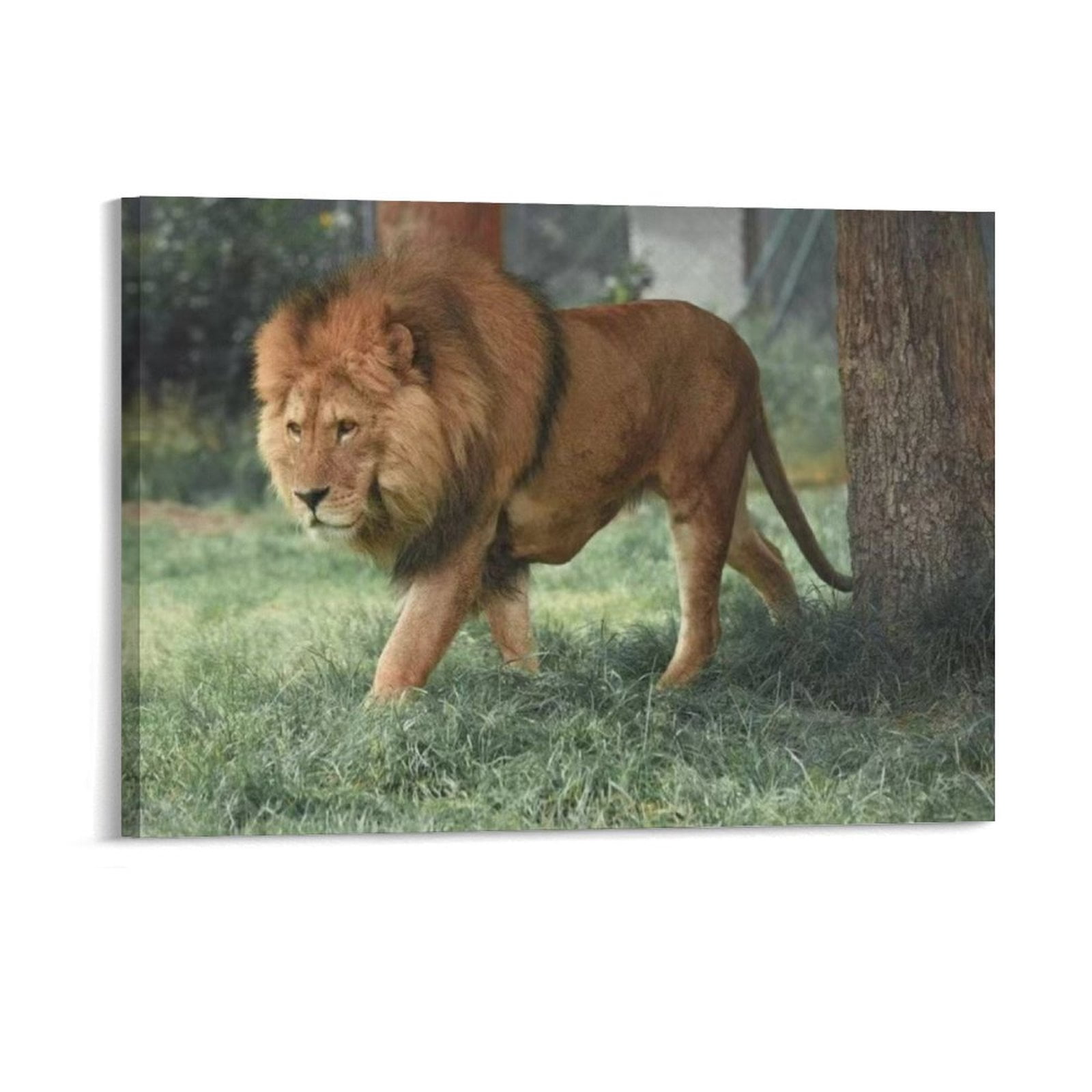 AEFER Lion Wall Art for Home Office Lion Canvas Wall Art for Living ...