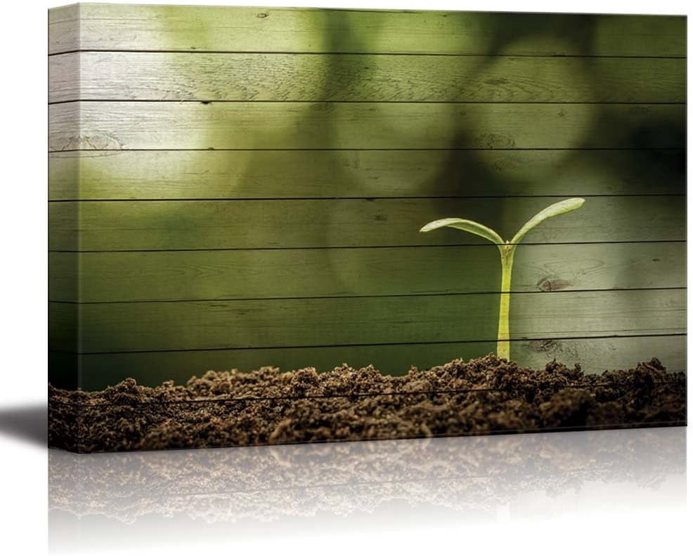 AEFER Little Plant Blooming on a Pile of Soil Over Wood Panels - Canvas ...