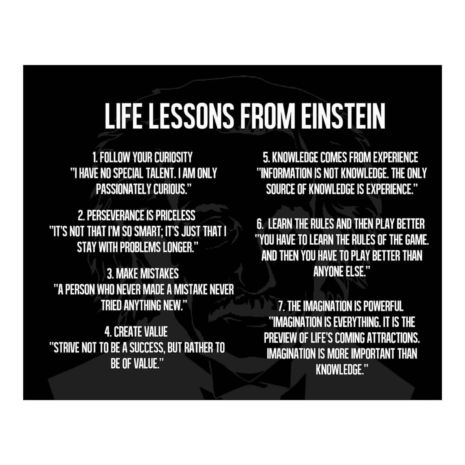 AEFER Logical Life Lessons - Motivational Wall Art Print with Einstein Quote for Rustic Home ...