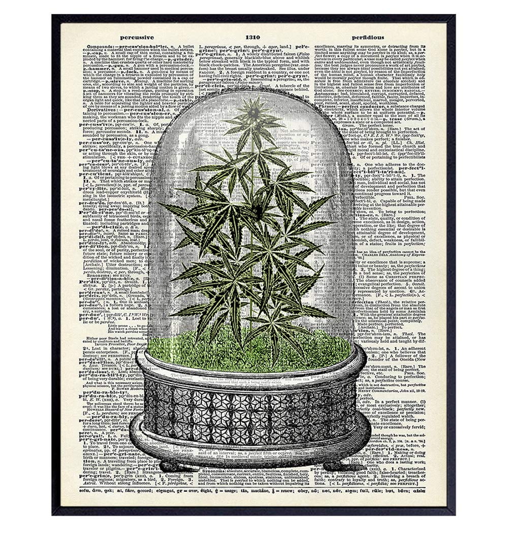 AEFER Marijuana Decor-Weed Smoking Gifts-Dope Wall Decor-Cannabis Wall ...