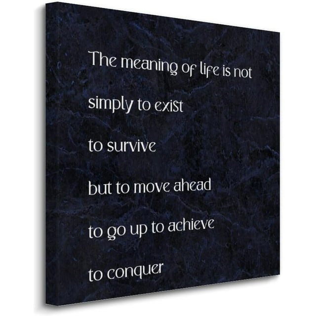 AEFER The Meaning of Life Is Not Simply to Exist to Survive Canvas ...