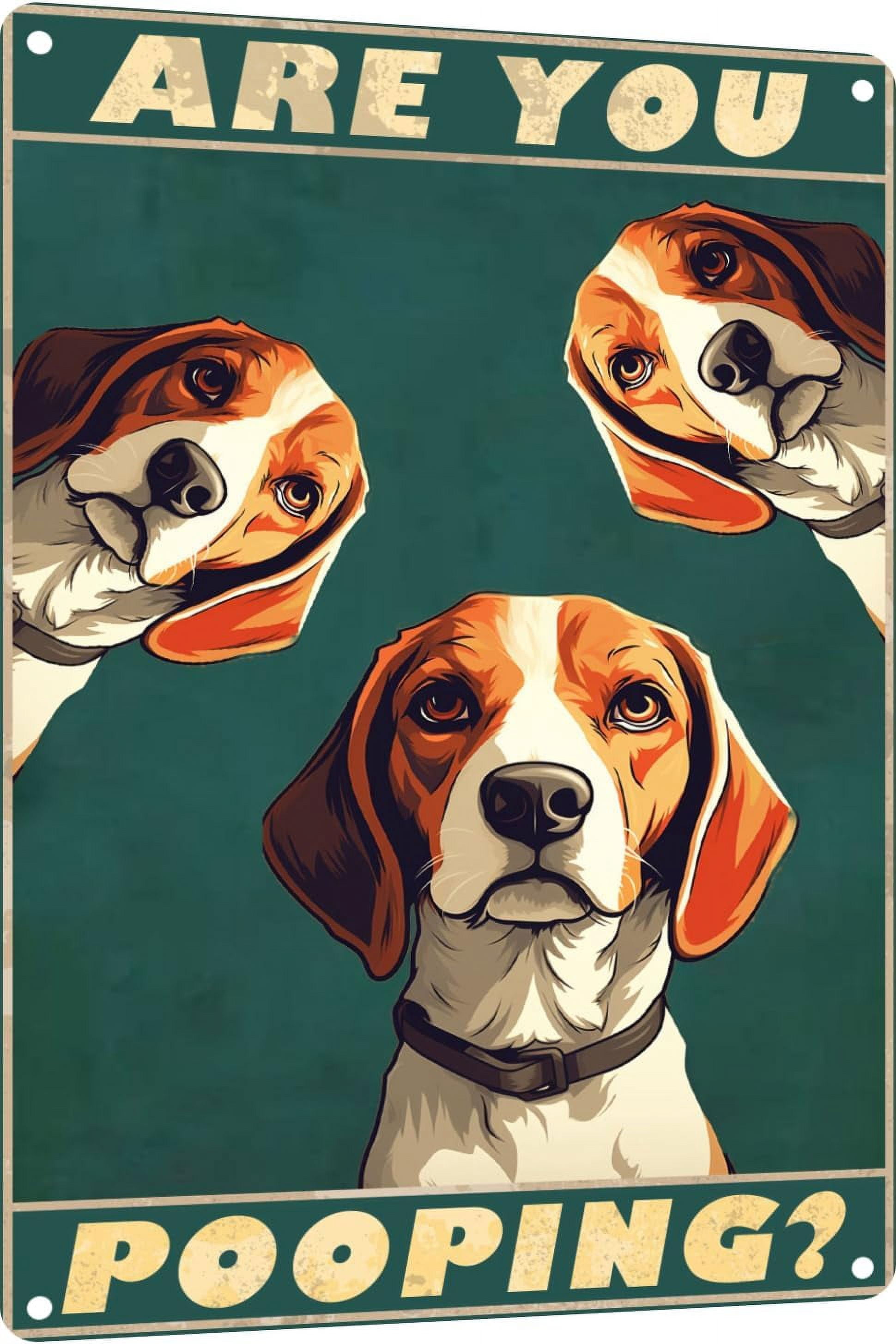 AEFER Metal Sign Beagle Are You Pooping Sign Vintage Funny Sign Retro ...