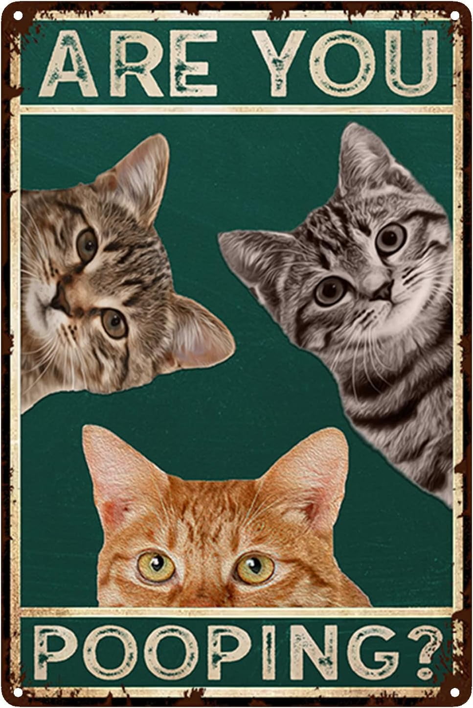 AEFER Metal Tin Sign Funny Cat Are You Pooping Signs, Funny Tin Signs ...