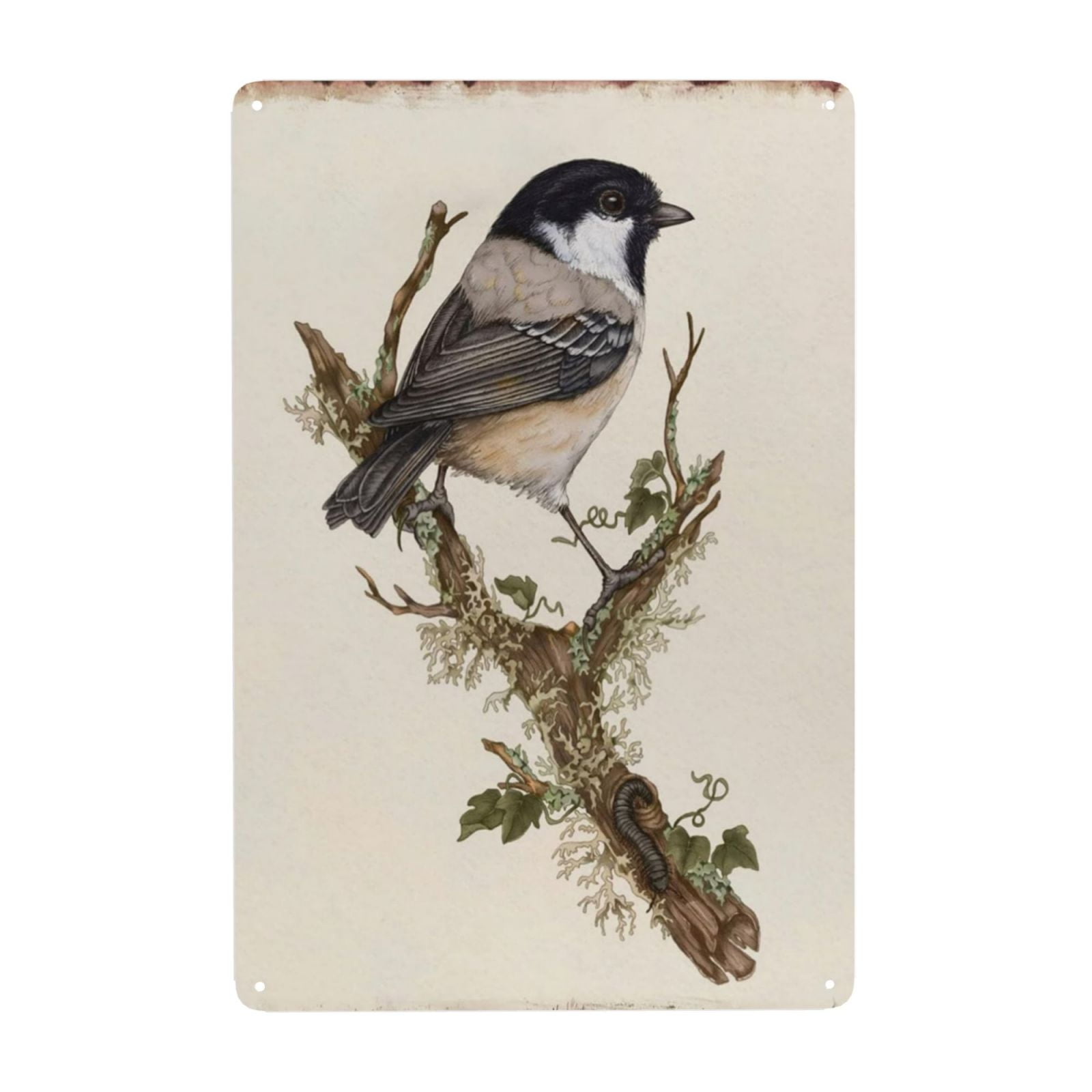 AEFER Metal Tin Sign Vintage Chickadee Bird Chickadee Retro Wildlife ...